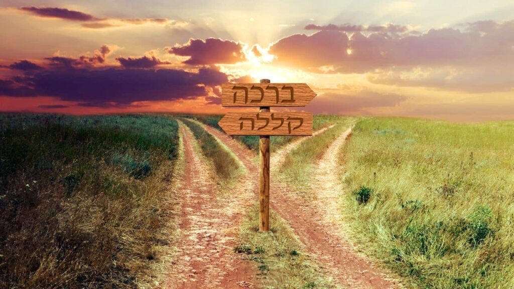 Re’eh – Seltzer Family